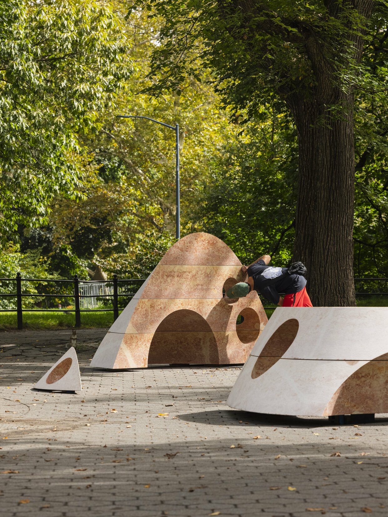 INTERSPECIES ASSEMBLY – SUPERFLEX