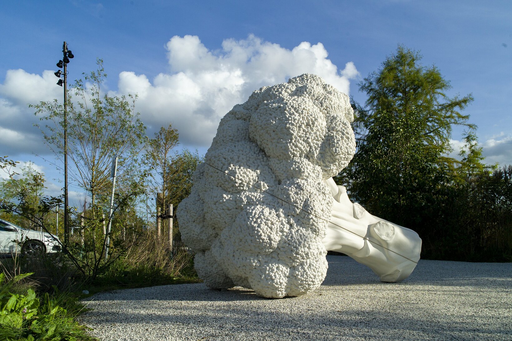 ALL THAT WE KNOW – SUPERFLEX